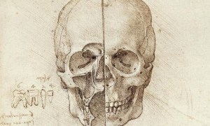 Leonardo: Study of a skull – The Idle Woman